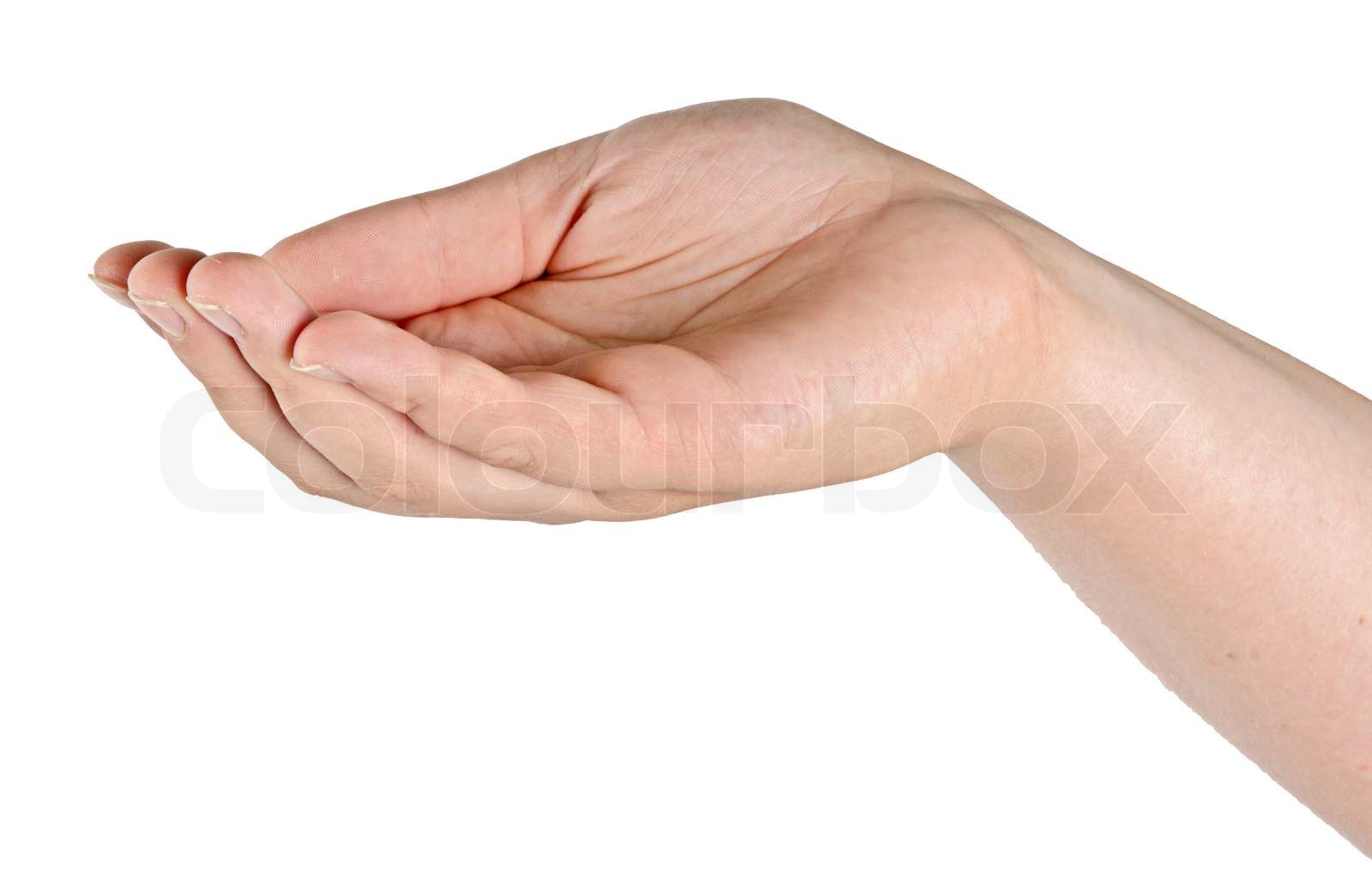 Mädchen Hand | Stock Bild | Colourbox