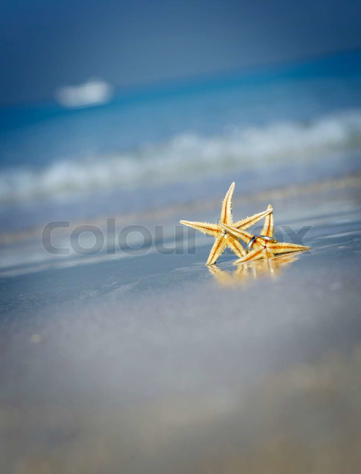 "Seesterne am Strand" | Stock Bild | Colourbox