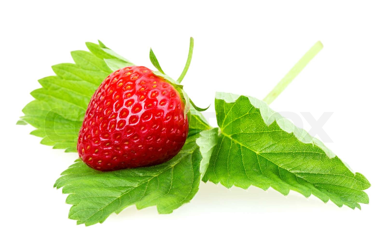 Erdbeeren | Stock Bild | Colourbox