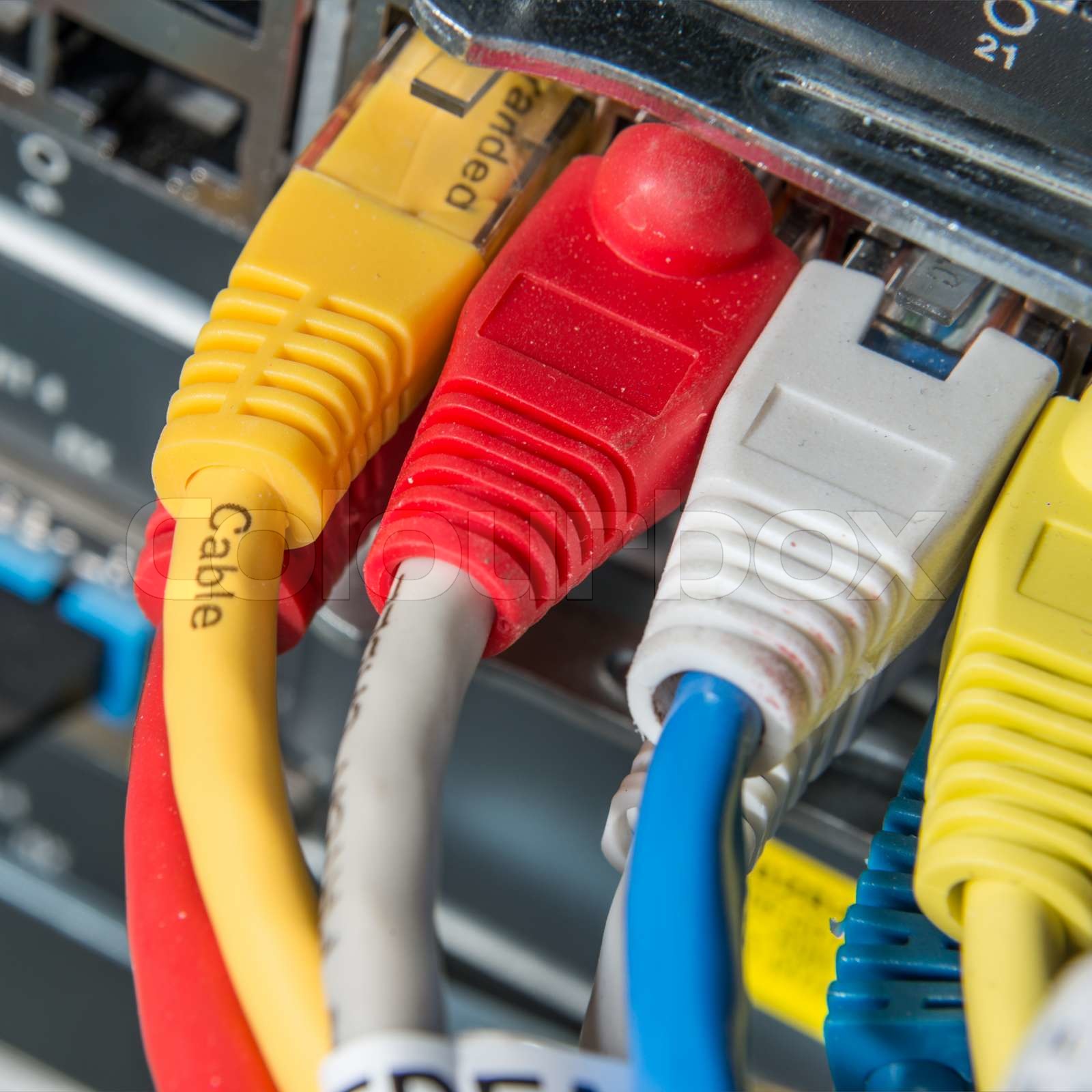 network hub and patch cables | Stock image | Colourbox