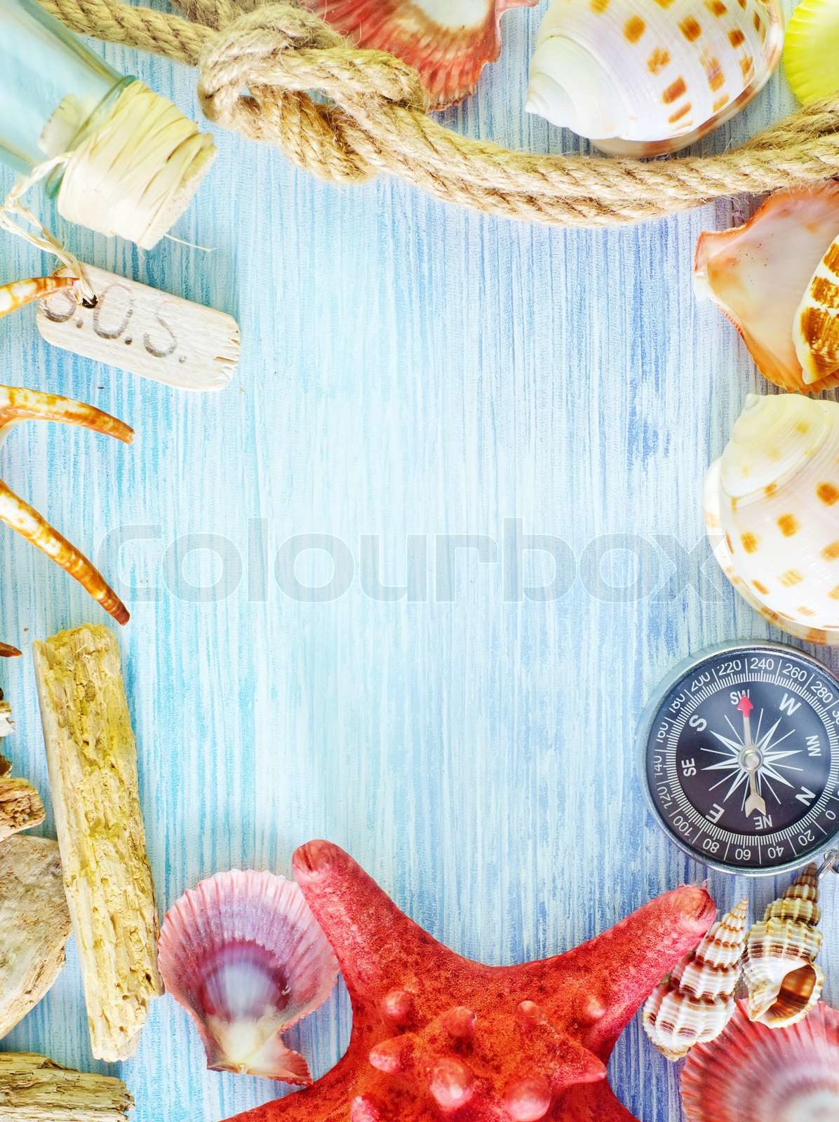 sea shells and compass | Stock image | Colourbox