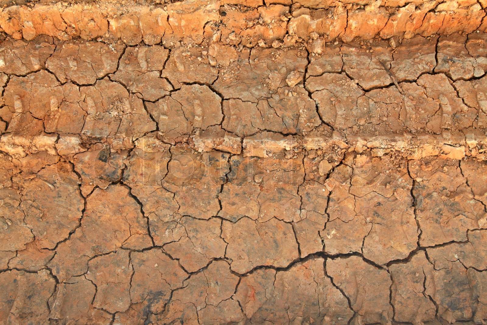 Dry terrain ground | Stock image | Colourbox