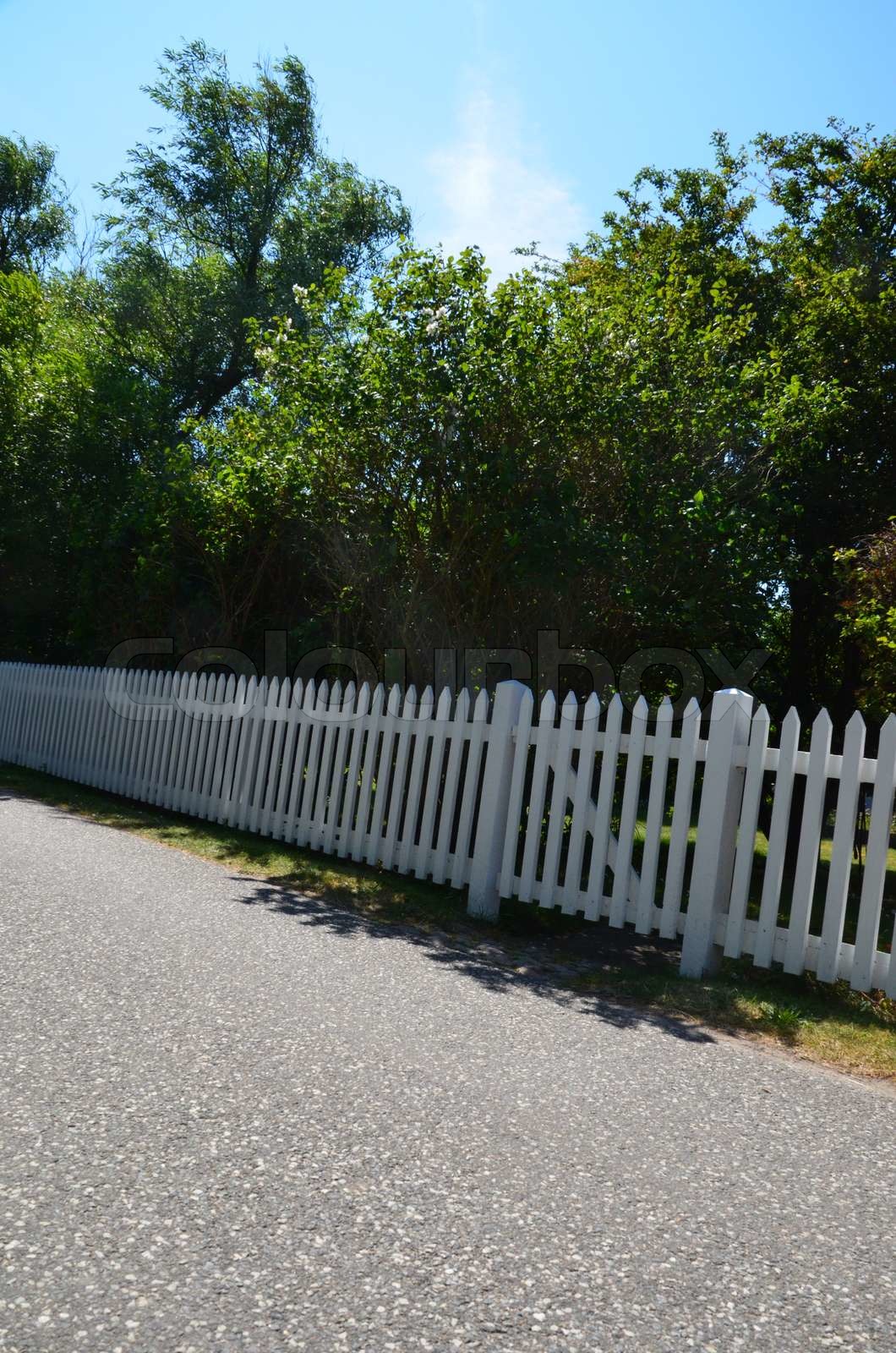hvidt stakithegn og skagenshegn med låge og stolper ud til vej og græs ...