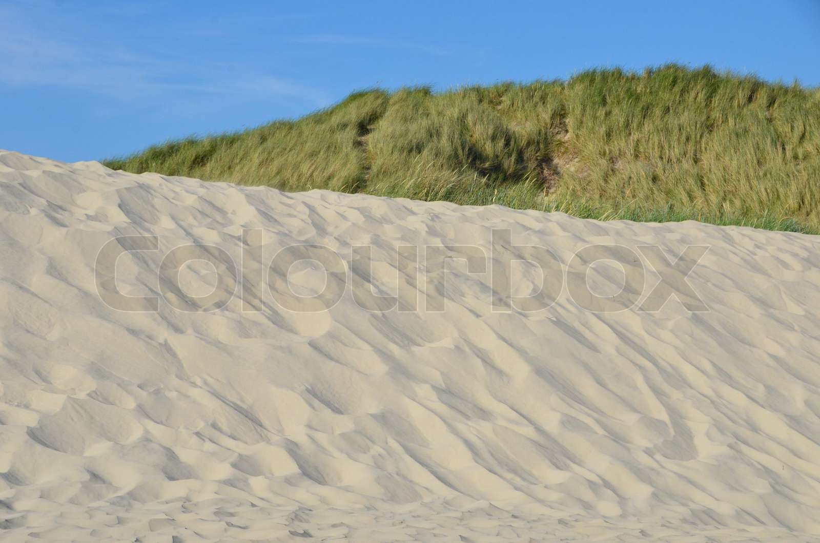 sand klitter ved Vesterhavet i Danmark en sommerdag med solskin | Stock ...