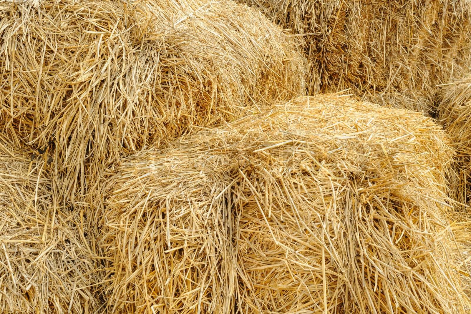 Hay bale background texture | Stock image | Colourbox