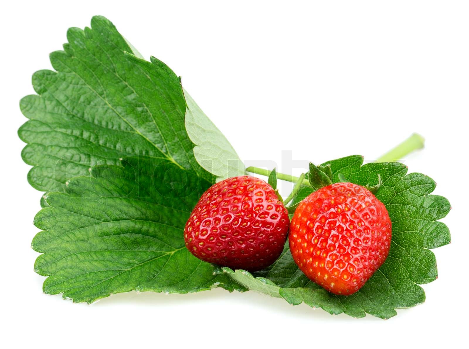 Strawberries | Stock image | Colourbox