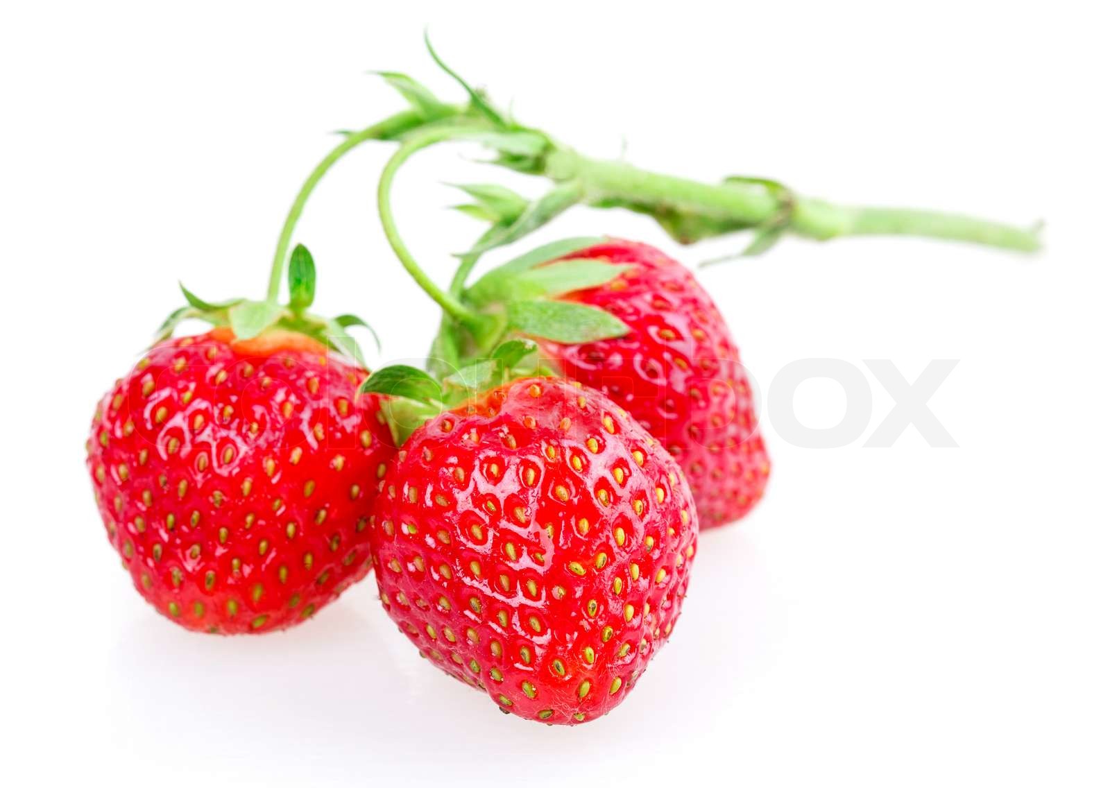 strawberries | Stock image | Colourbox