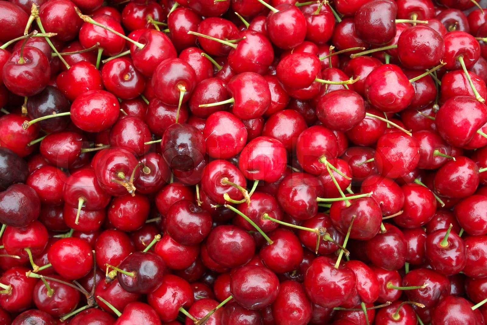 frische Kirsche | Stock Bild | Colourbox