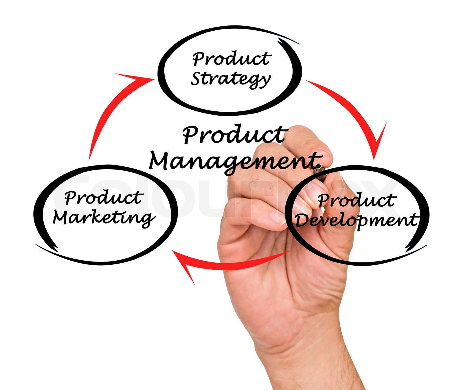 Product management | Stock image | Colourbox