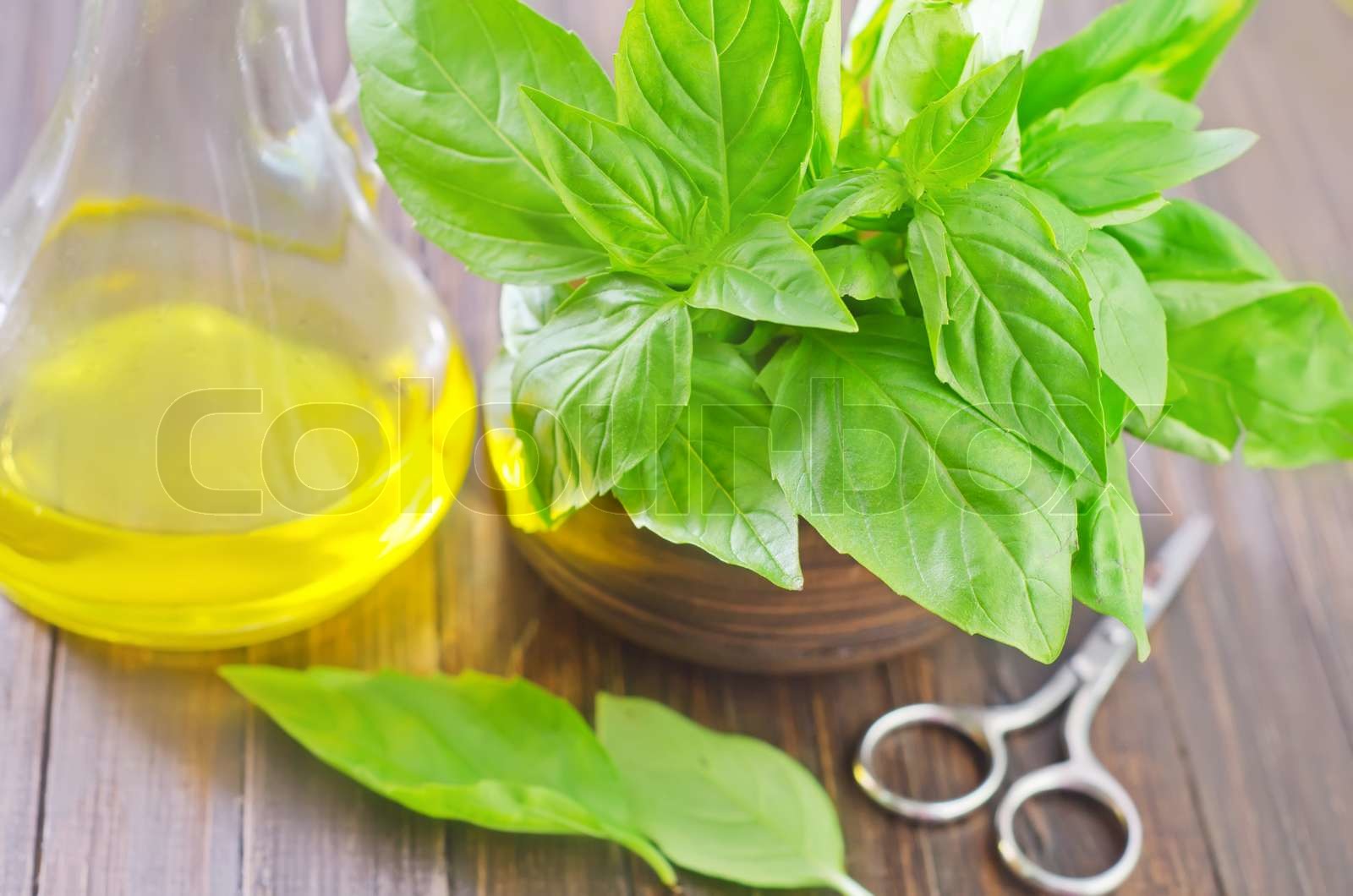 basil | Stock image | Colourbox