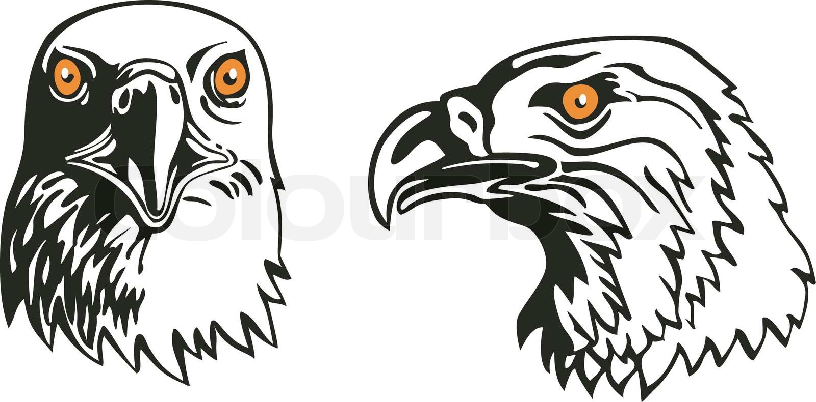 Adlerkopf | Stock-Vektor | Colourbox