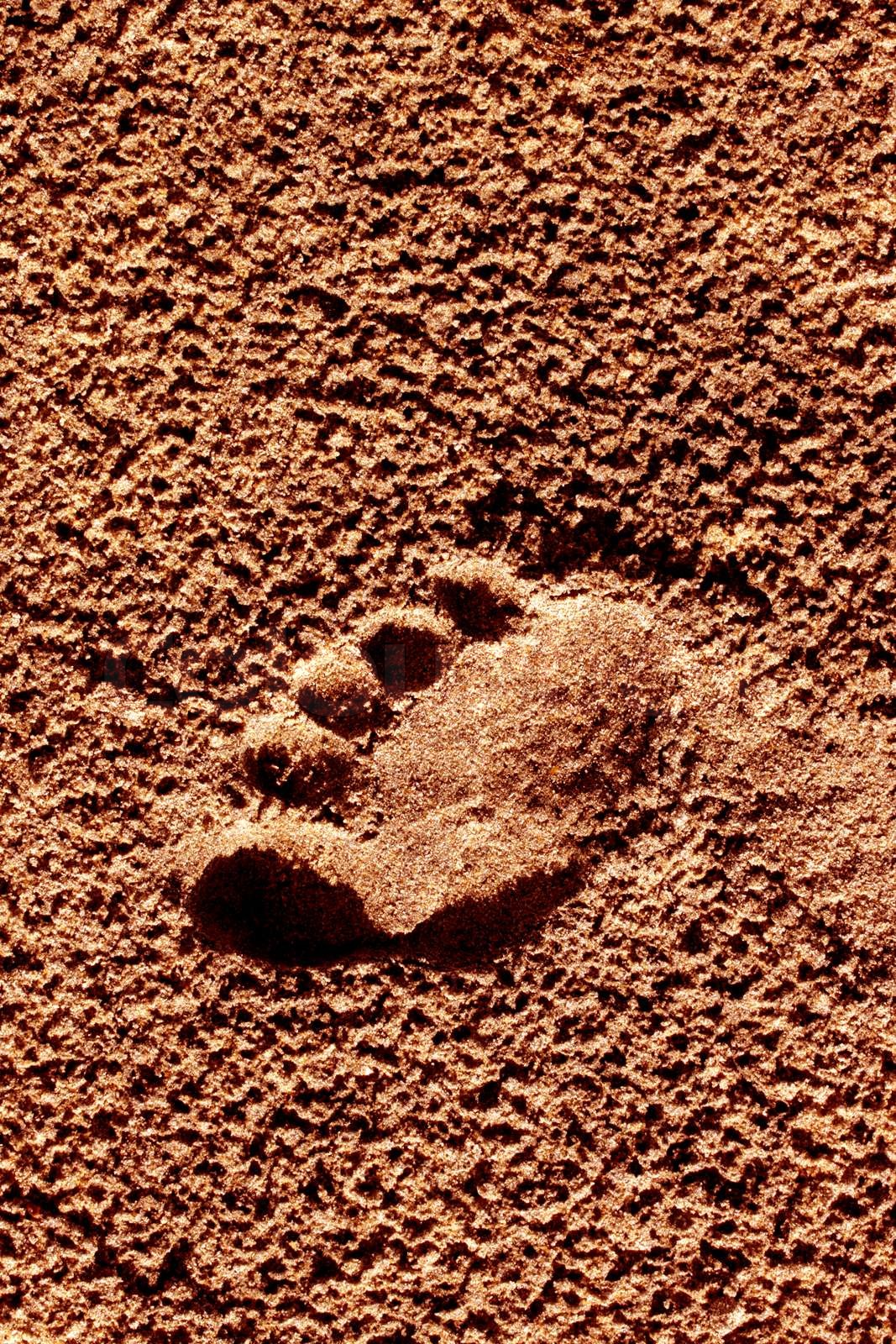 Foot mark | Stock image | Colourbox