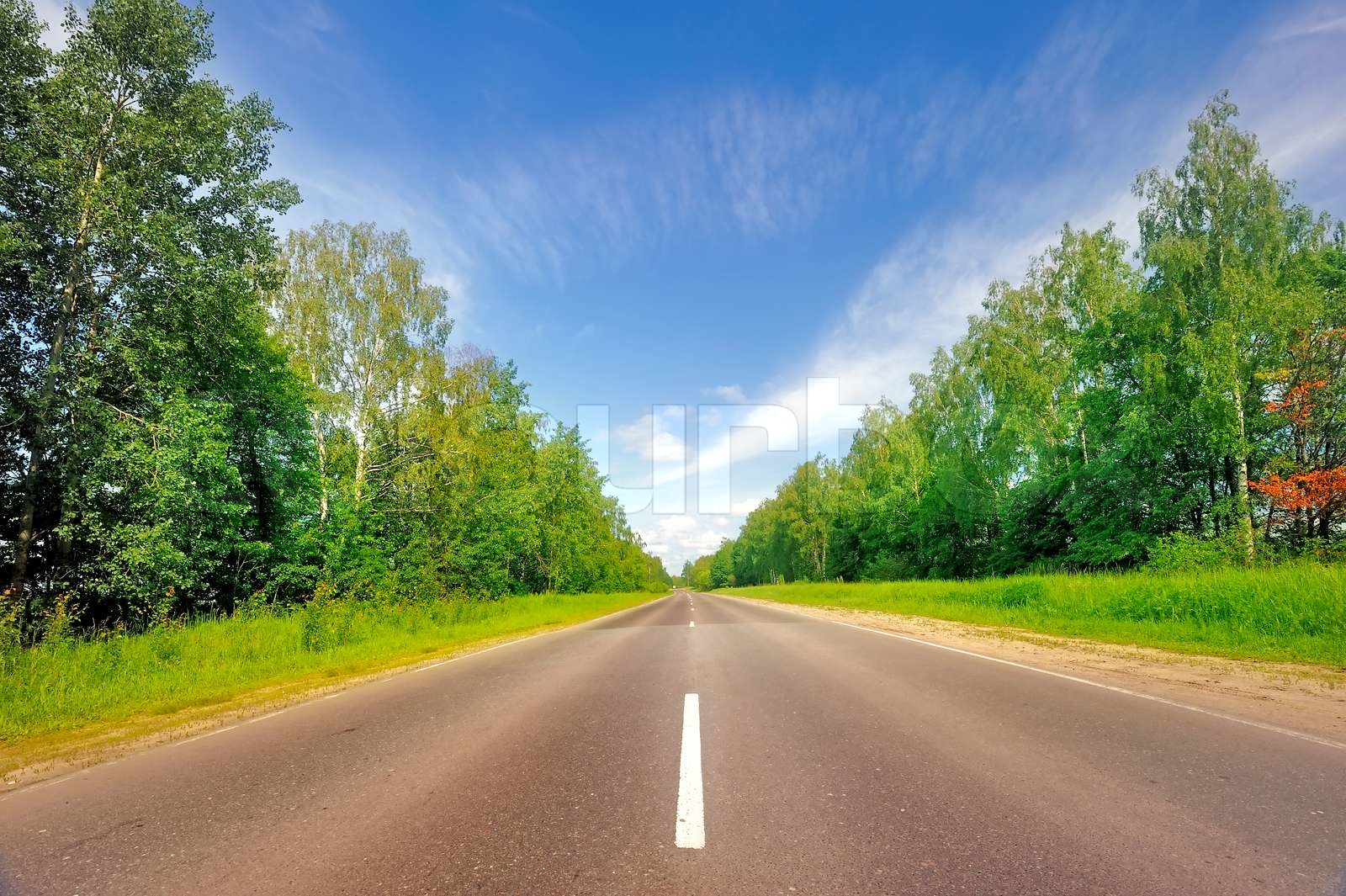 Smooth asphalt road surrounded by forest | Stock image | Colourbox