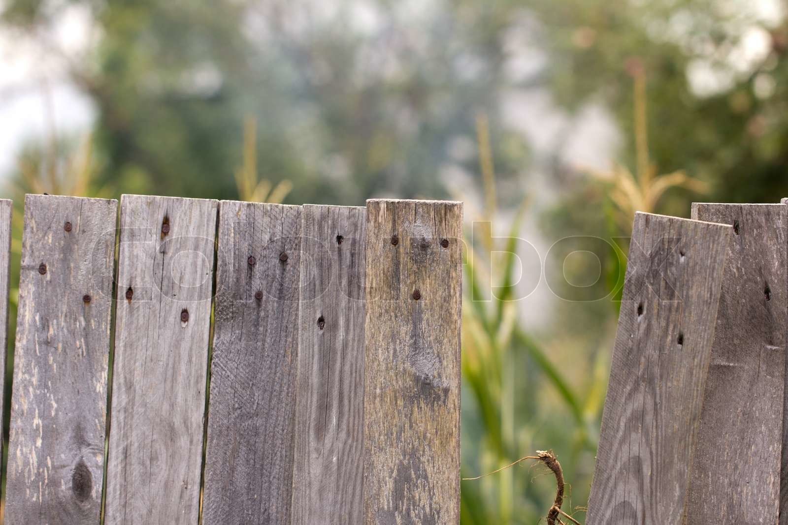 Old Wooden Fence Background