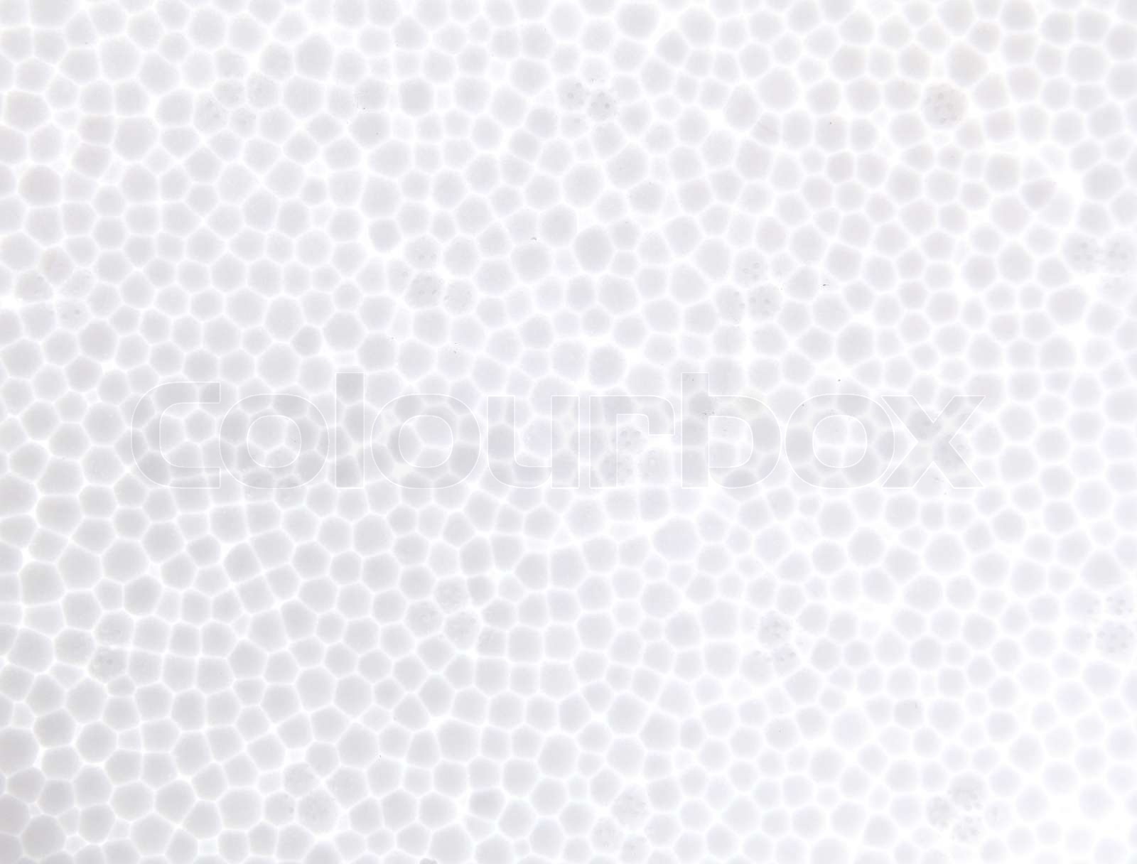 foam texture background | Stock image | Colourbox