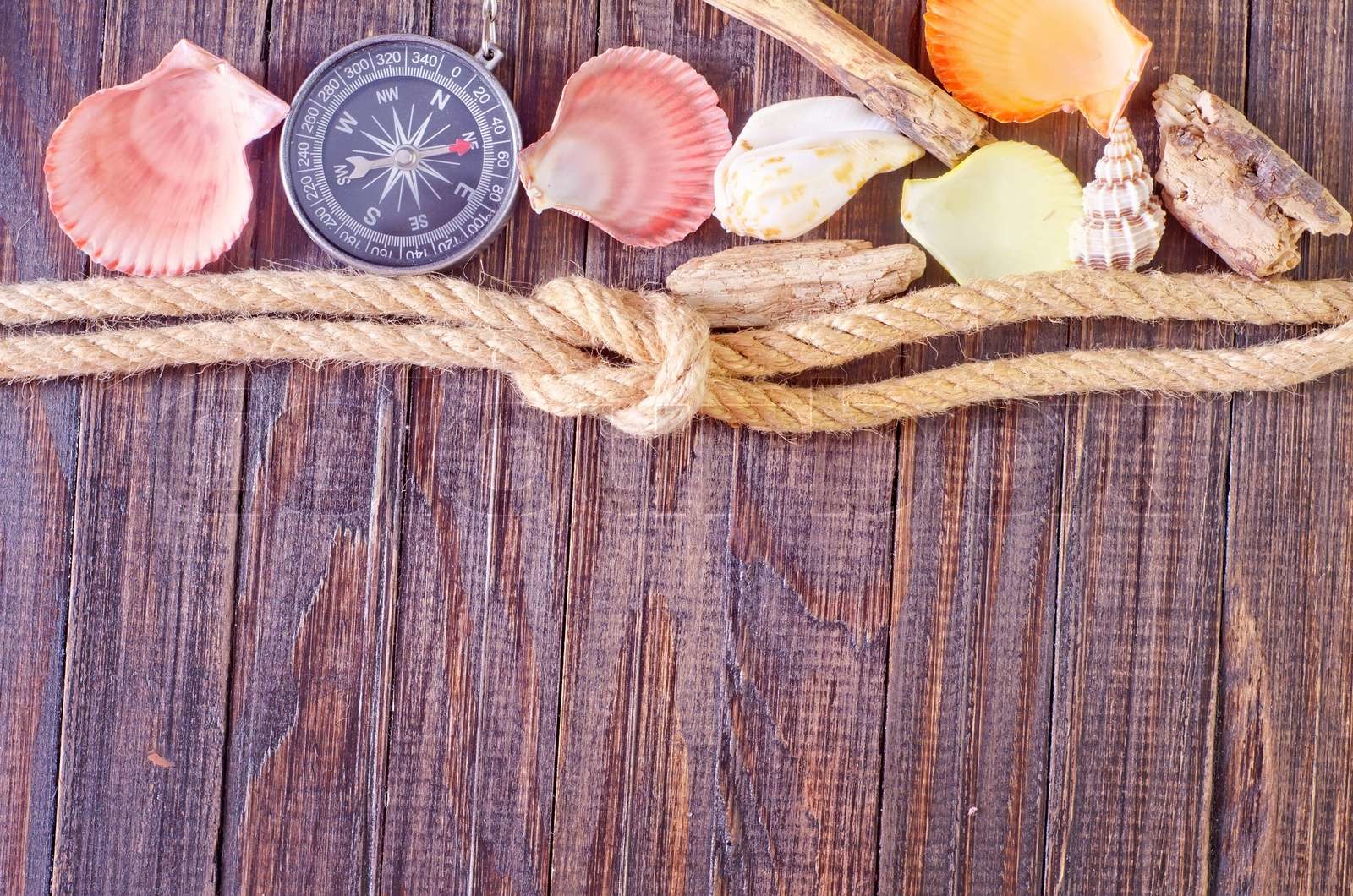 shell and compass | Stock image | Colourbox