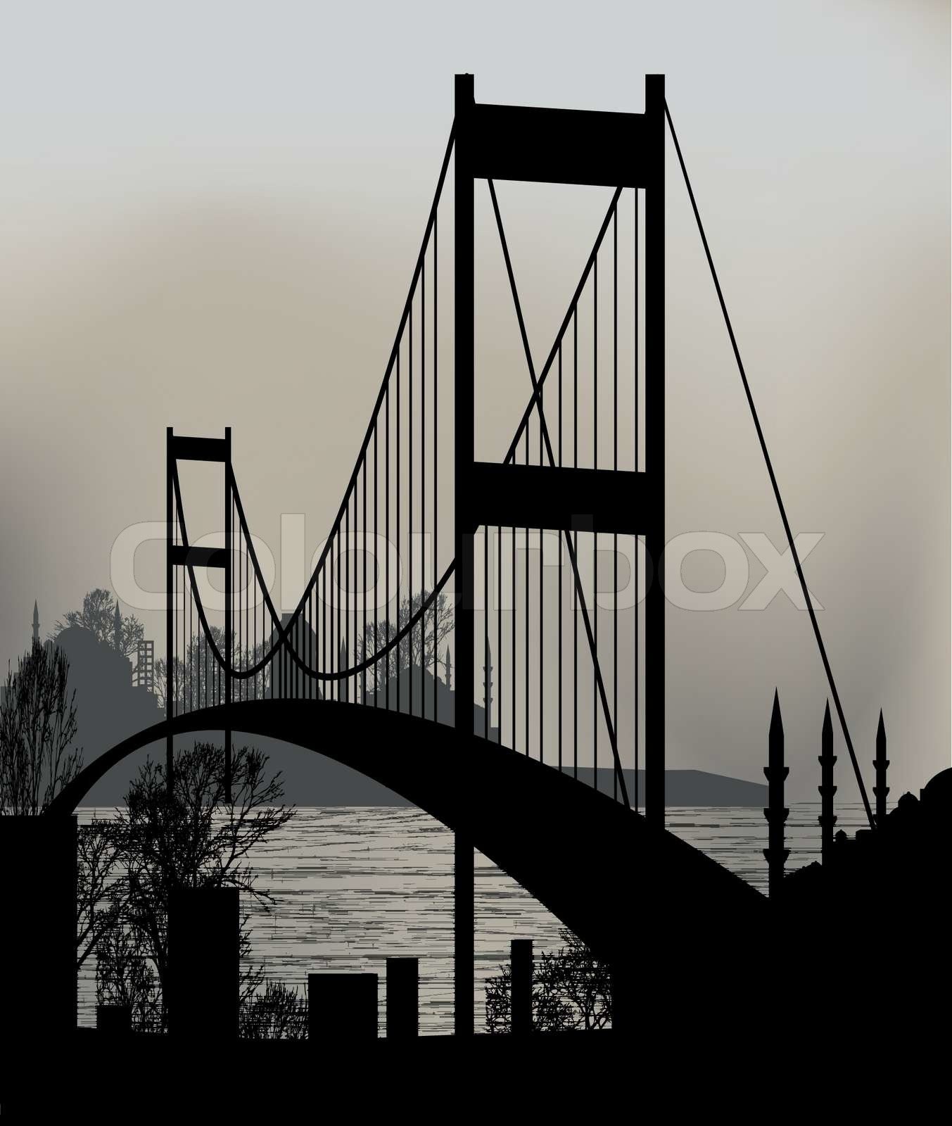 istanbul and the bosphorus bridge | Stock vector | Colourbox