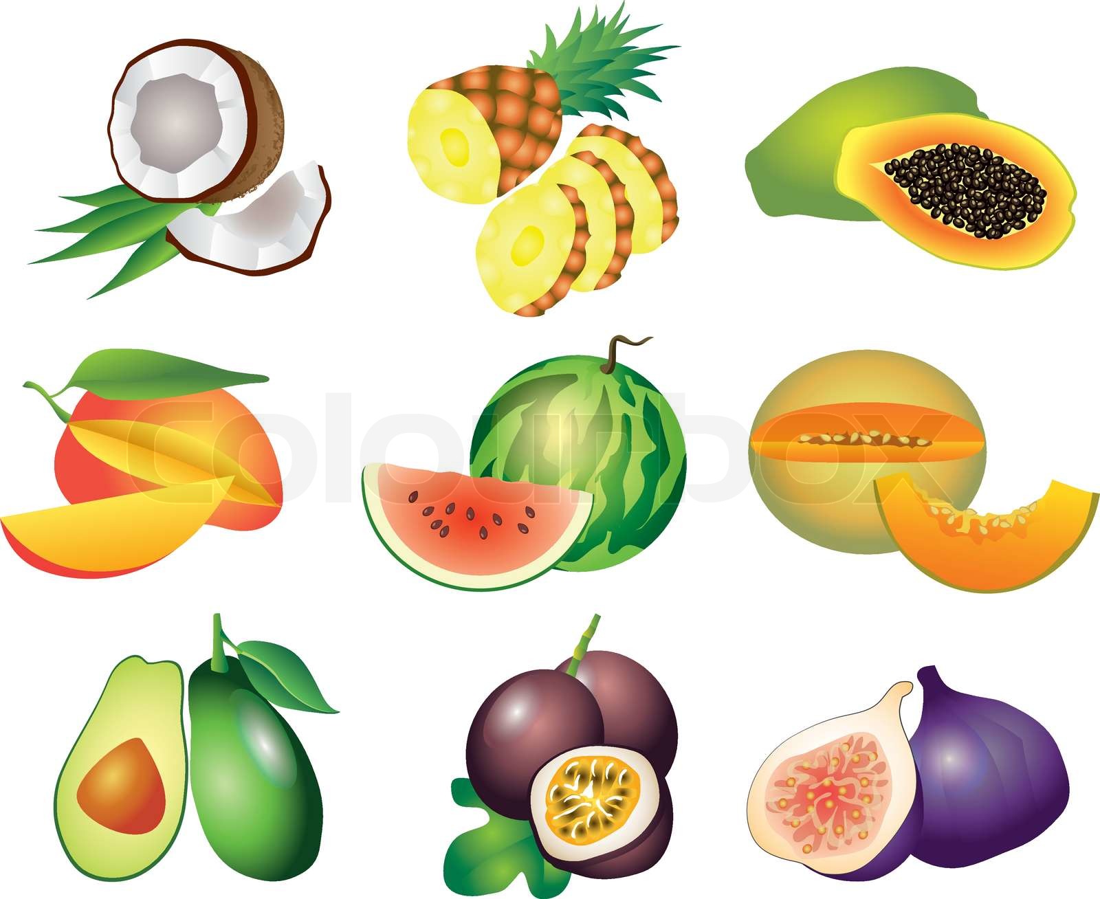 exotic fruits vector set | Stock vector | Colourbox