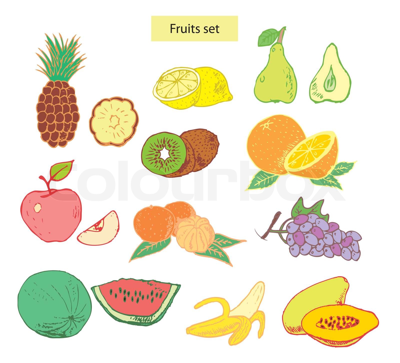 fruits set detailed illustration | Stock vector | Colourbox