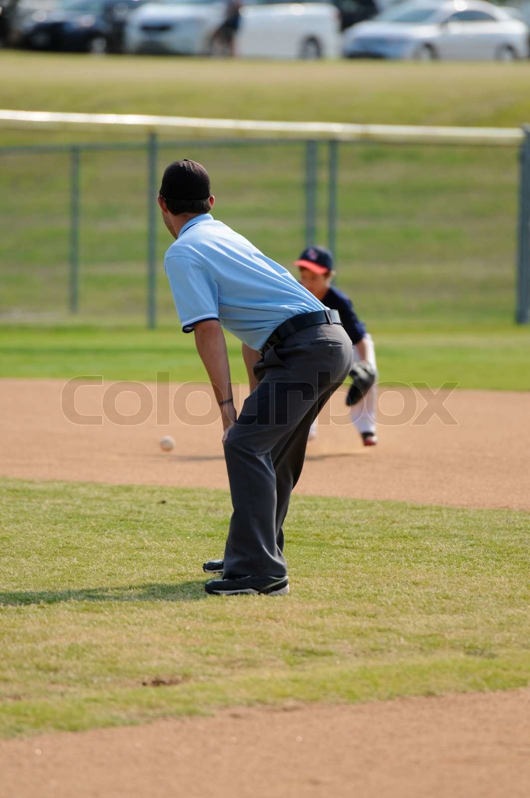Little league baseball umpire | Stock image | Colourbox