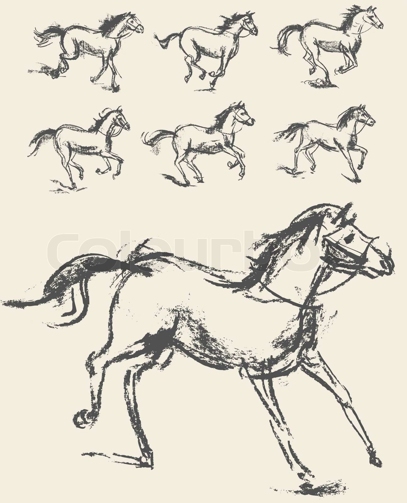 Horse Set Hand-drawn Vector illustration Phase of the movement | Stock ...