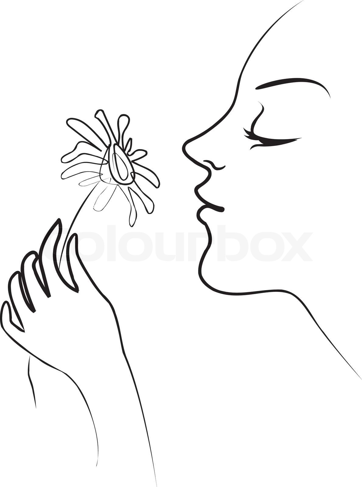 The girl holds in her hand tenderly daisy Smelling flowers Vector ... The girl holds in her hand tenderly daisy Smelling flowers Vector ...