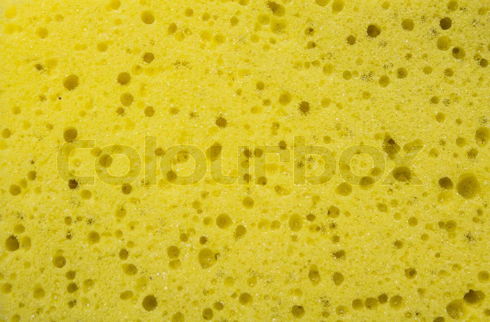 Yellow sponge texture | Stock image | Colourbox