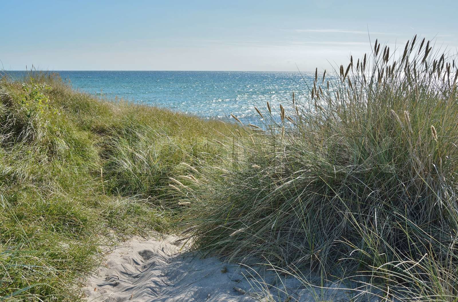 Strand, klitter, sand og hav | Stock foto | Colourbox