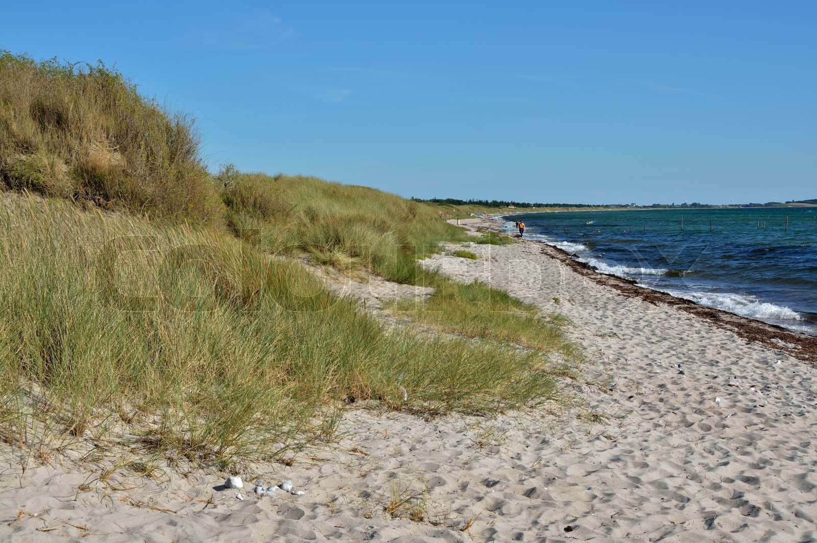 Strand, klitter, sand og hav | Stock foto | Colourbox