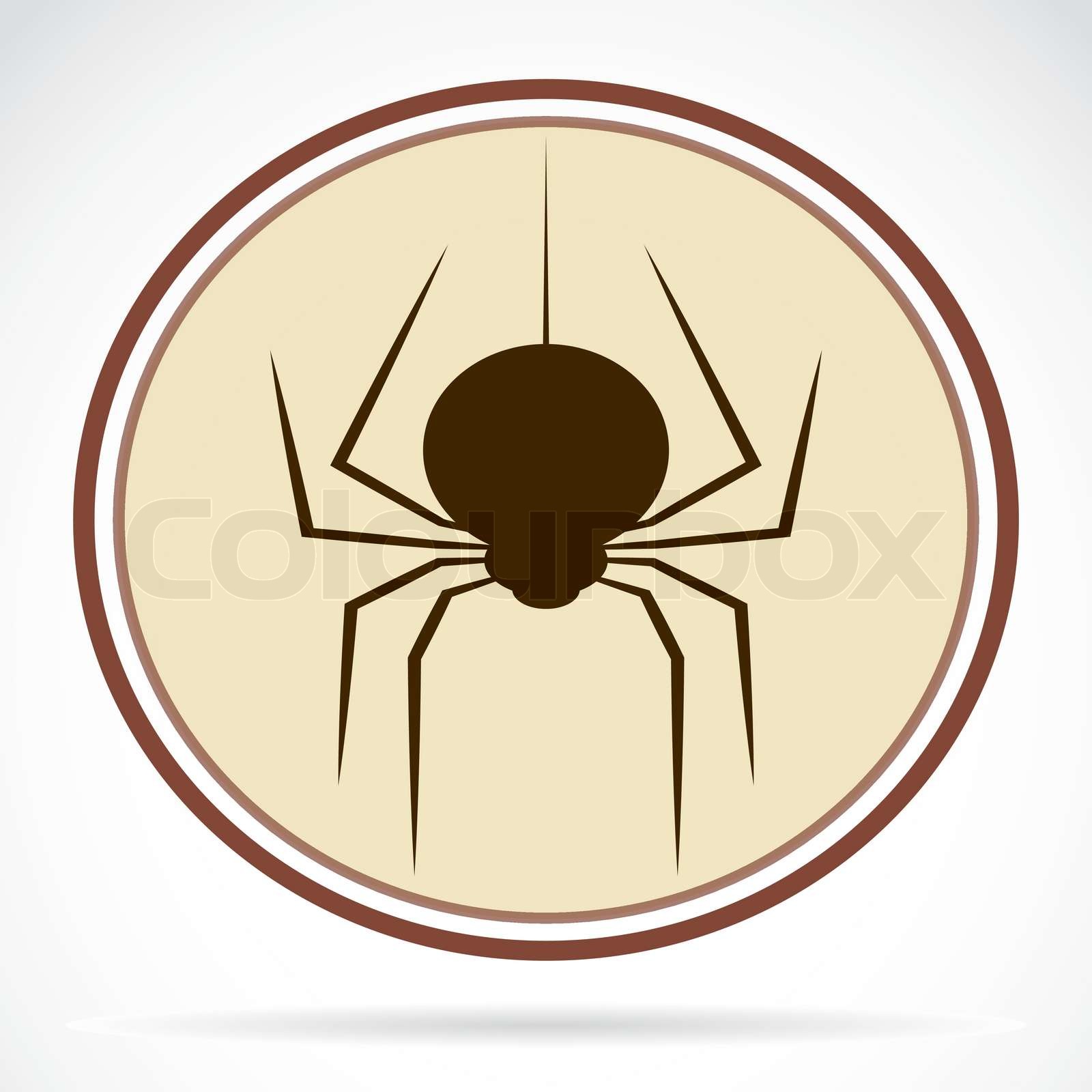 Pictures of brown spiders | Stock vector | Colourbox