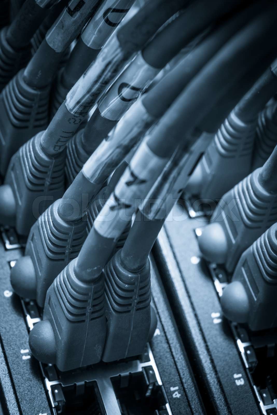network hub and patch cables | Stock image | Colourbox