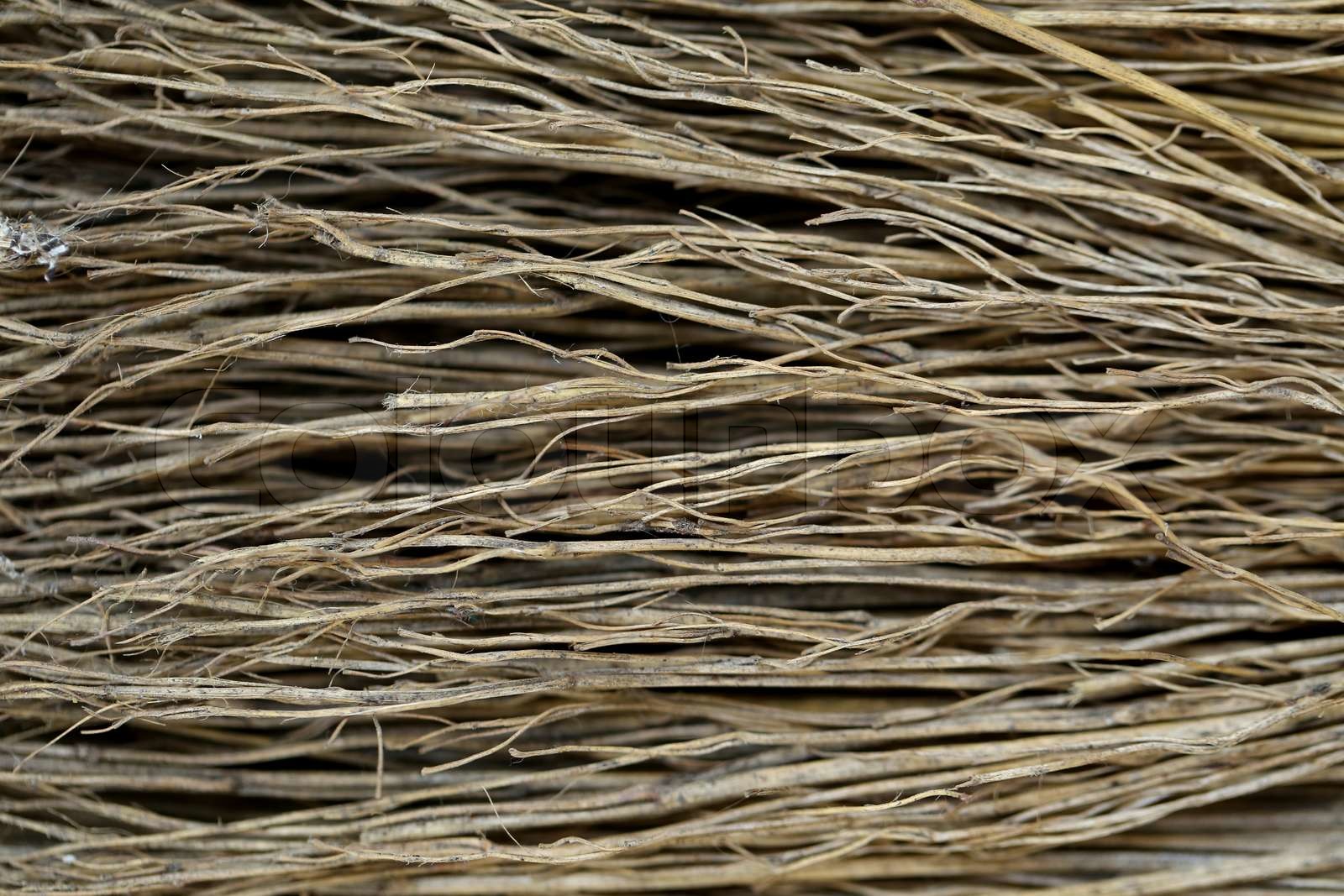 Close up detail of a broom texture | Stock image | Colourbox