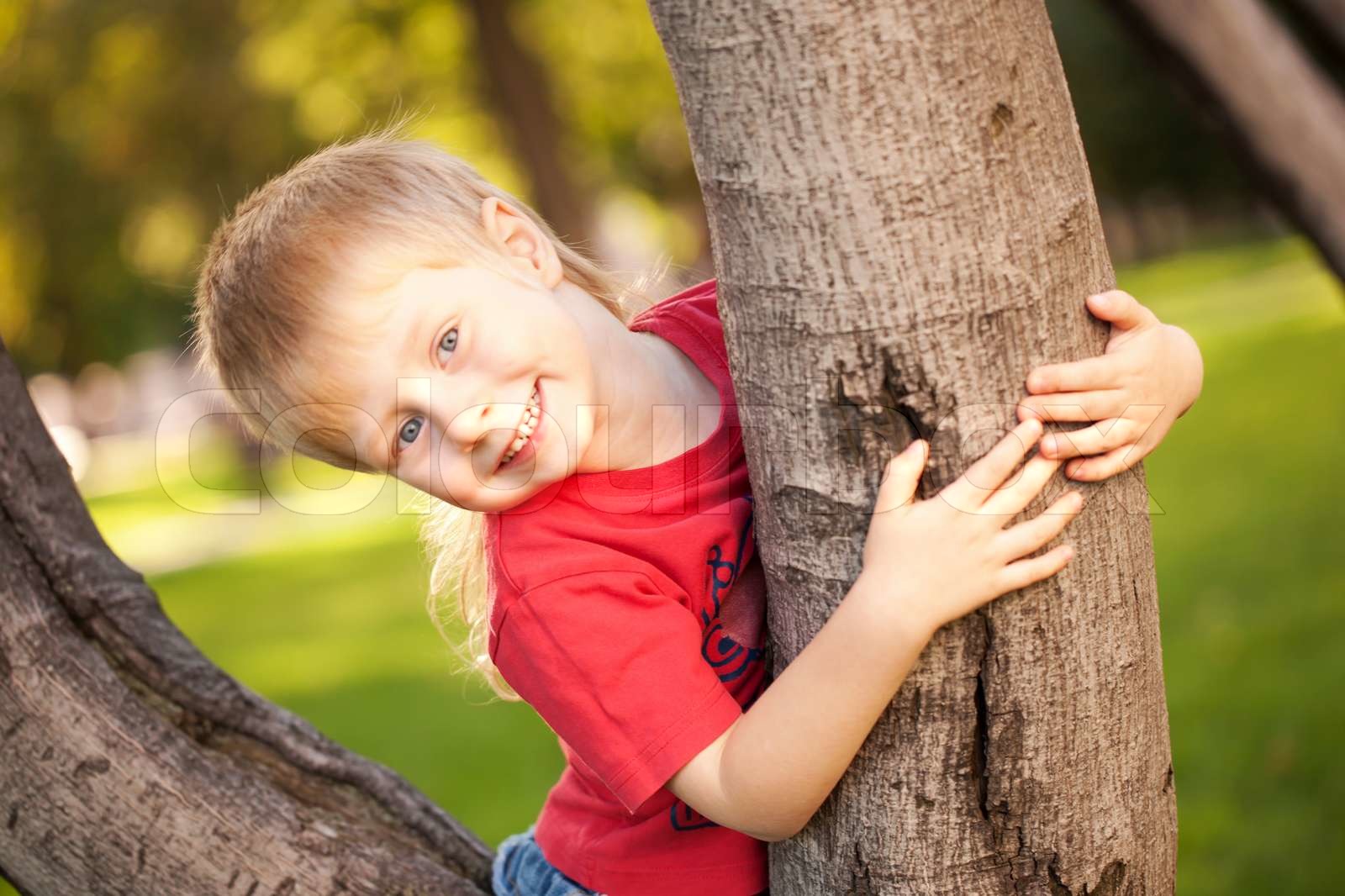 smiling little boy hugging tree | Stock image | Colourbox