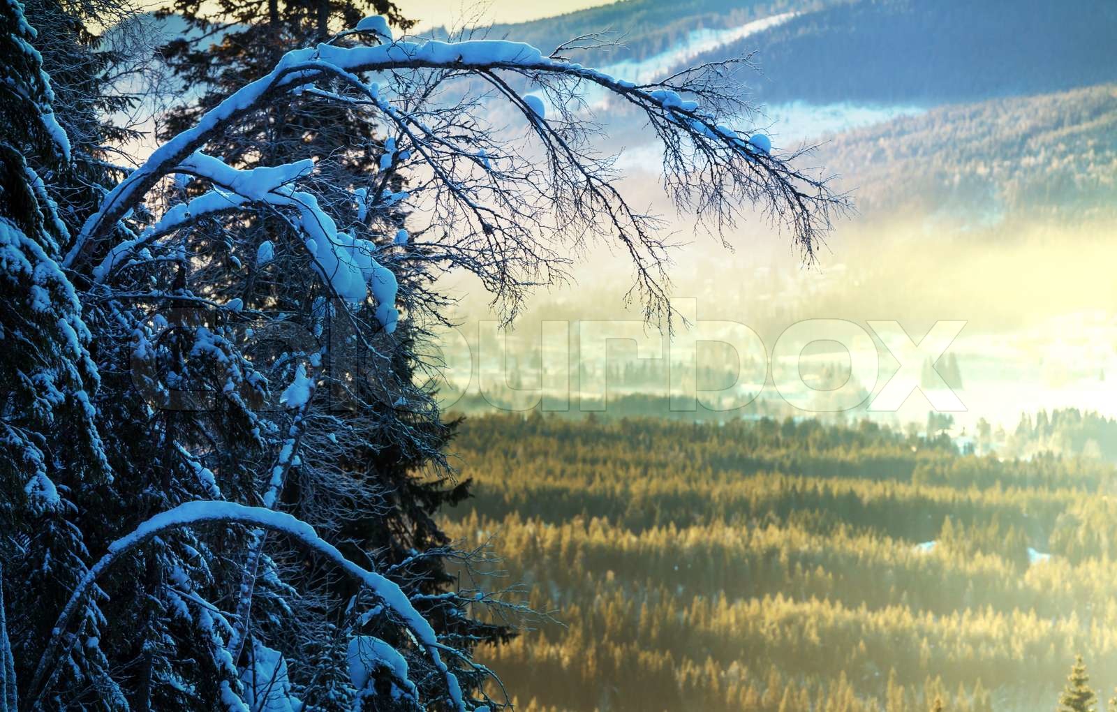 Wintersaison | Stock Bild | Colourbox