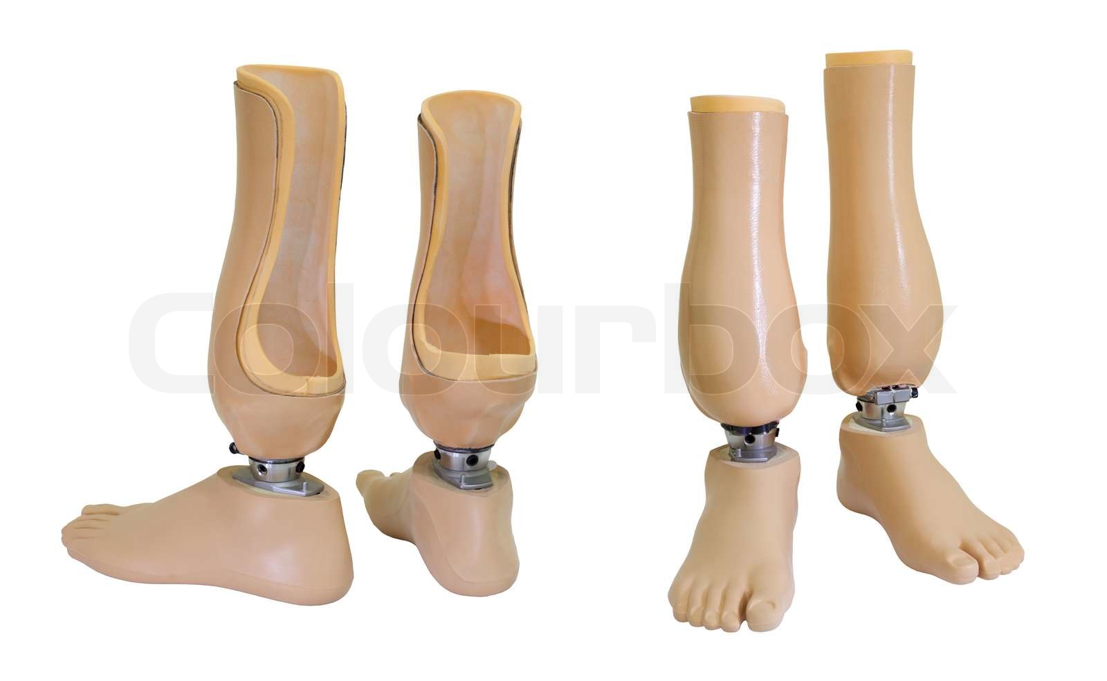 Two views of prosthetic legs isolated on white | Stock image | Colourbox