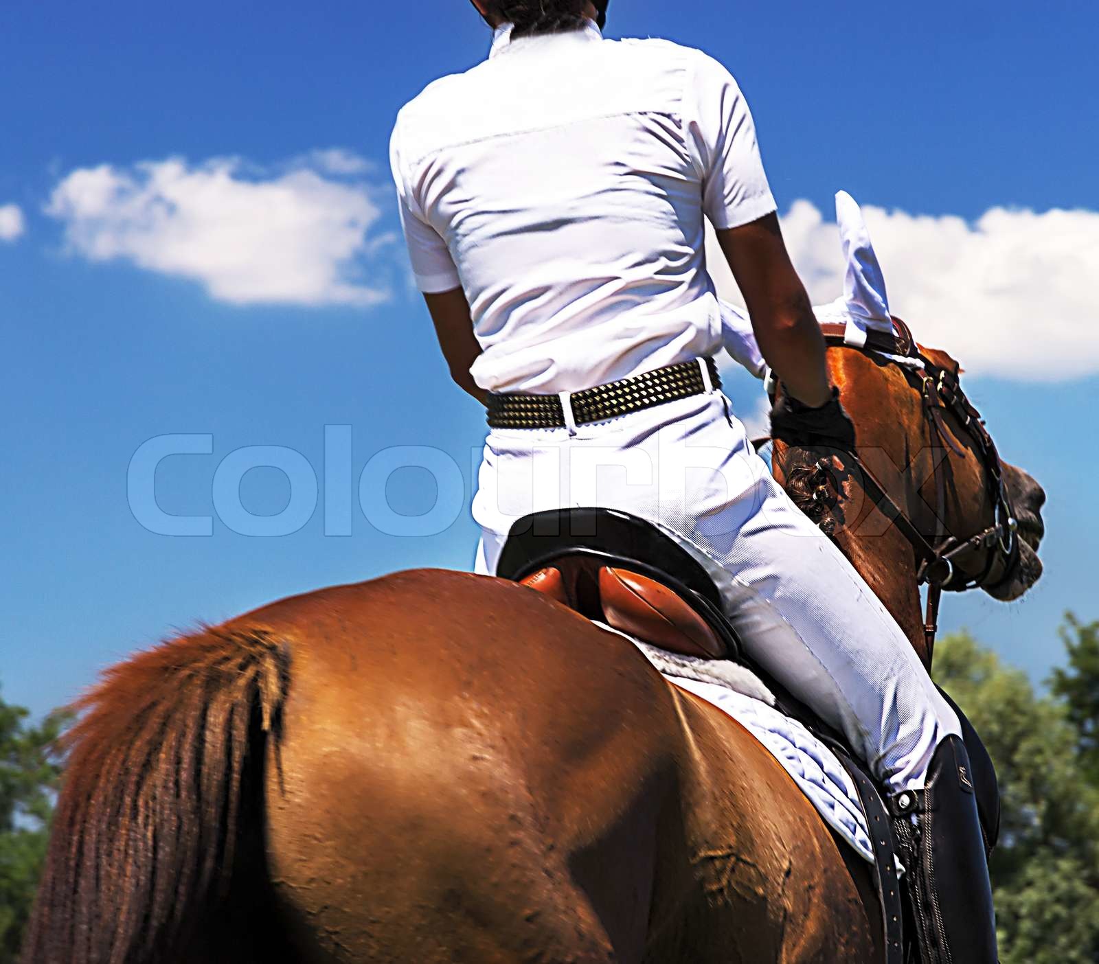 horse and rider | Stock image | Colourbox