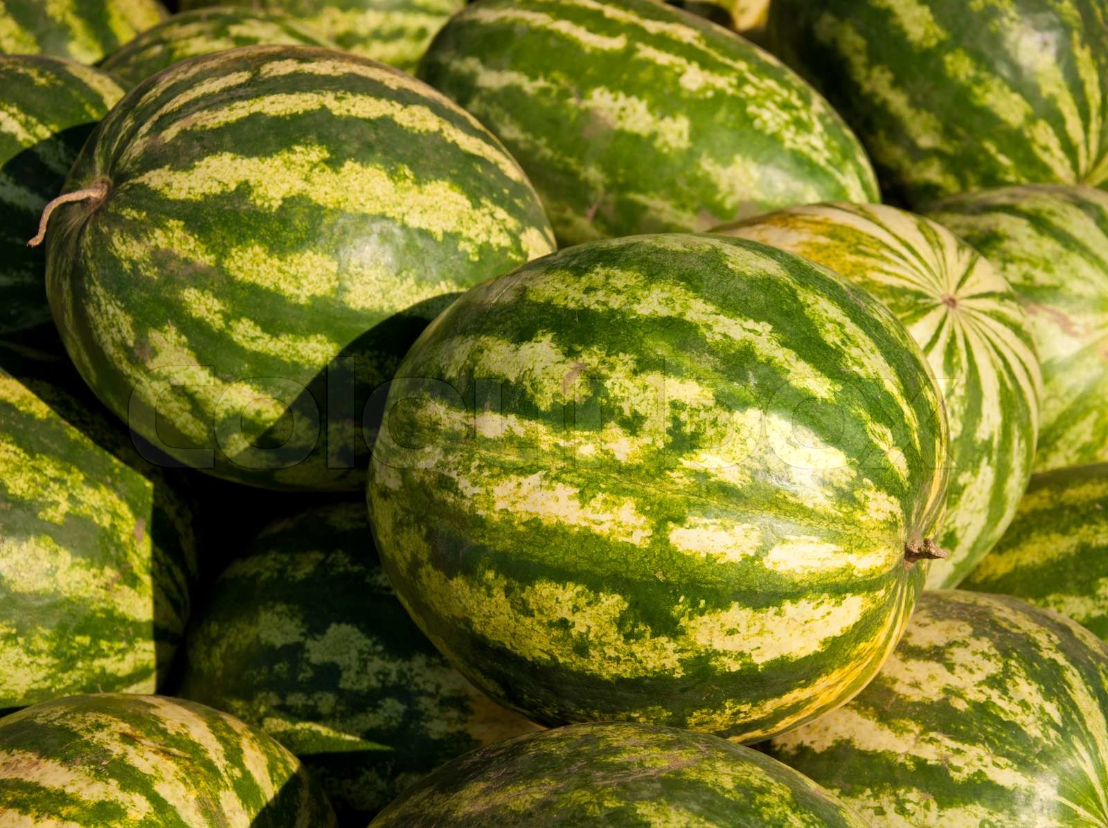 red watermelons | Stock image | Colourbox
