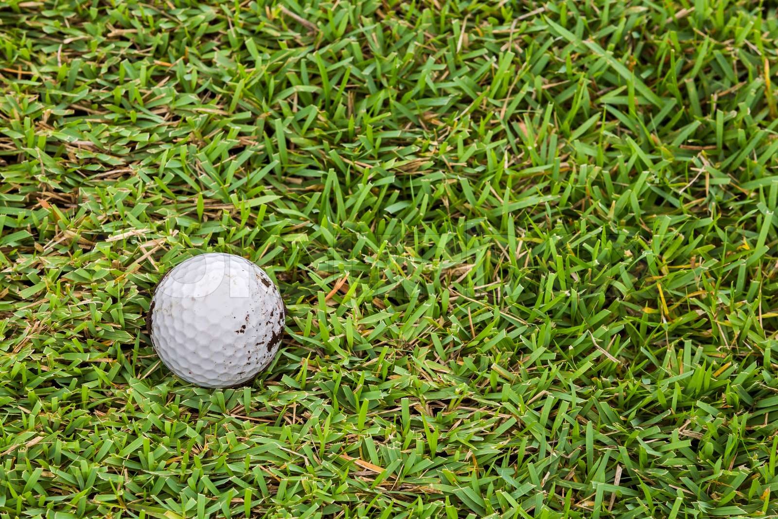 Golf ball on fairway | Stock image | Colourbox