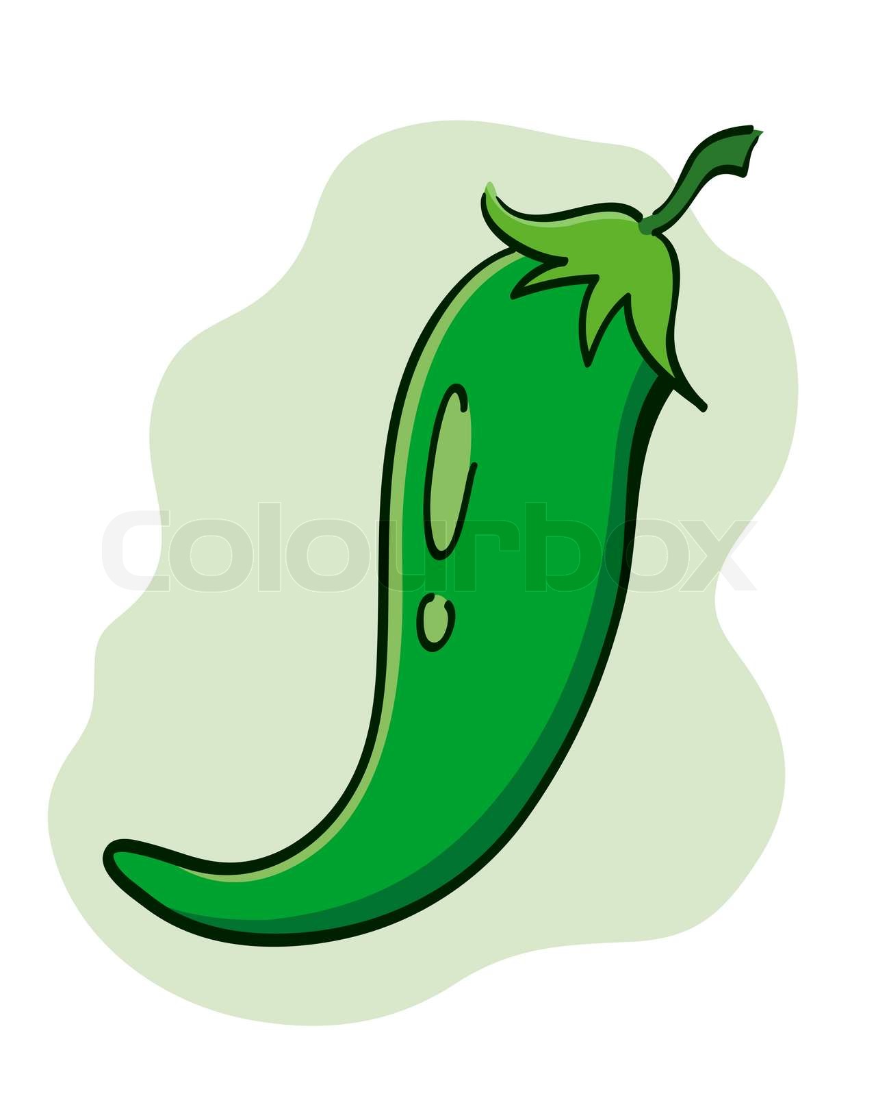 Green chili pepper | Stock vector | Colourbox