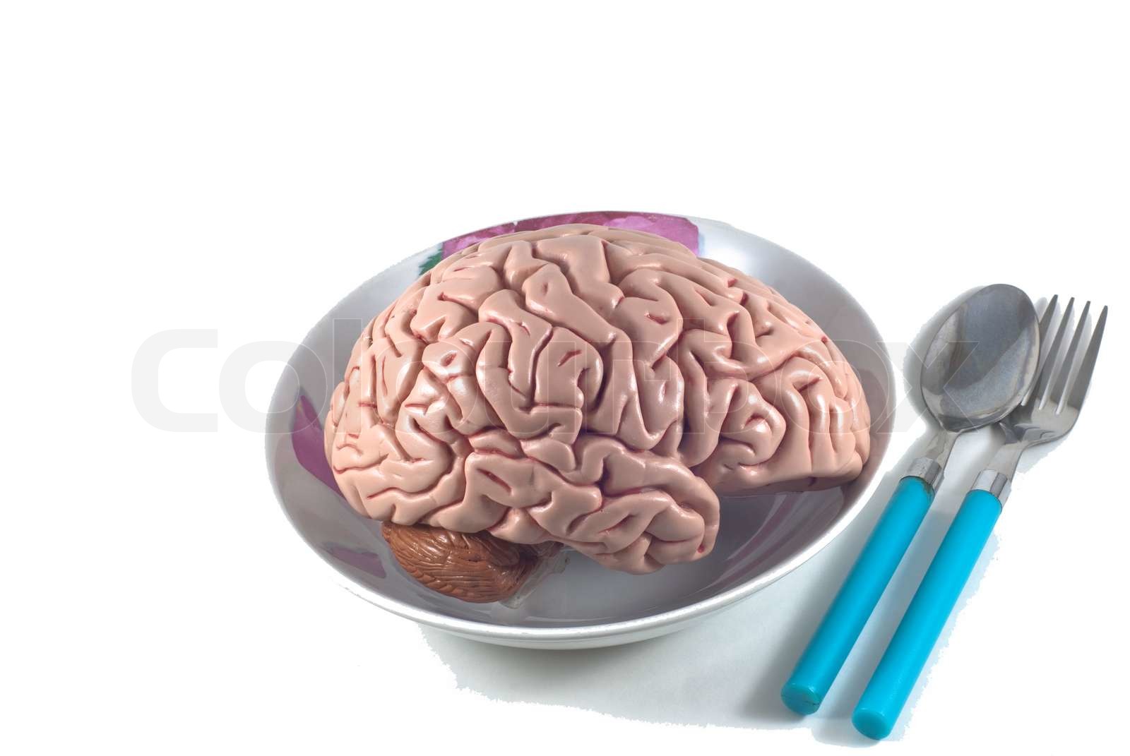 human brain as food with spoon and fork, isolated | Stock image | Colourbox