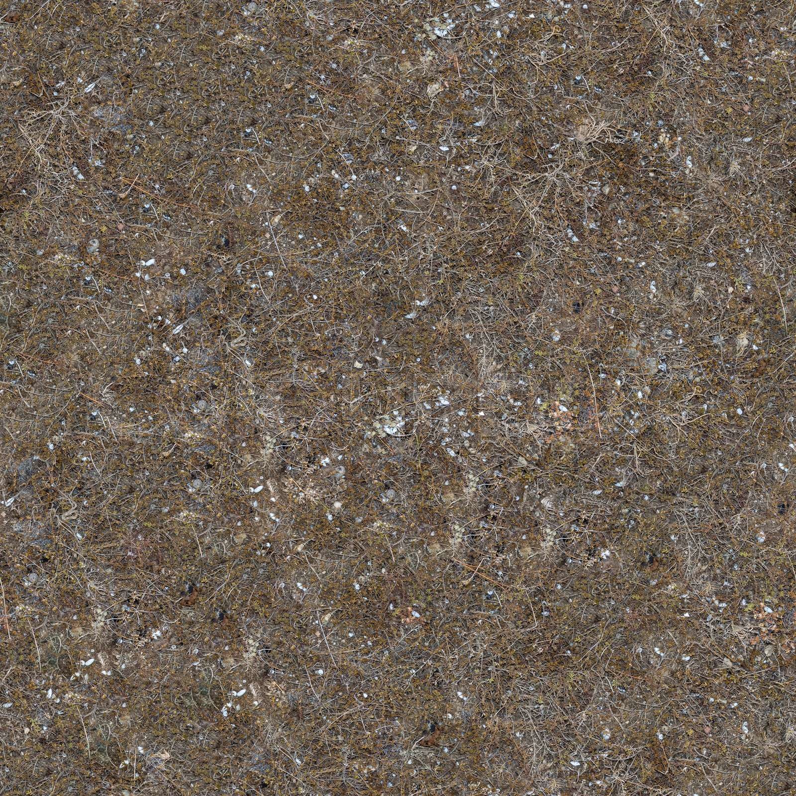 Seamless Texture of Soil Post-apocalyptic Period | Stock image | Colourbox