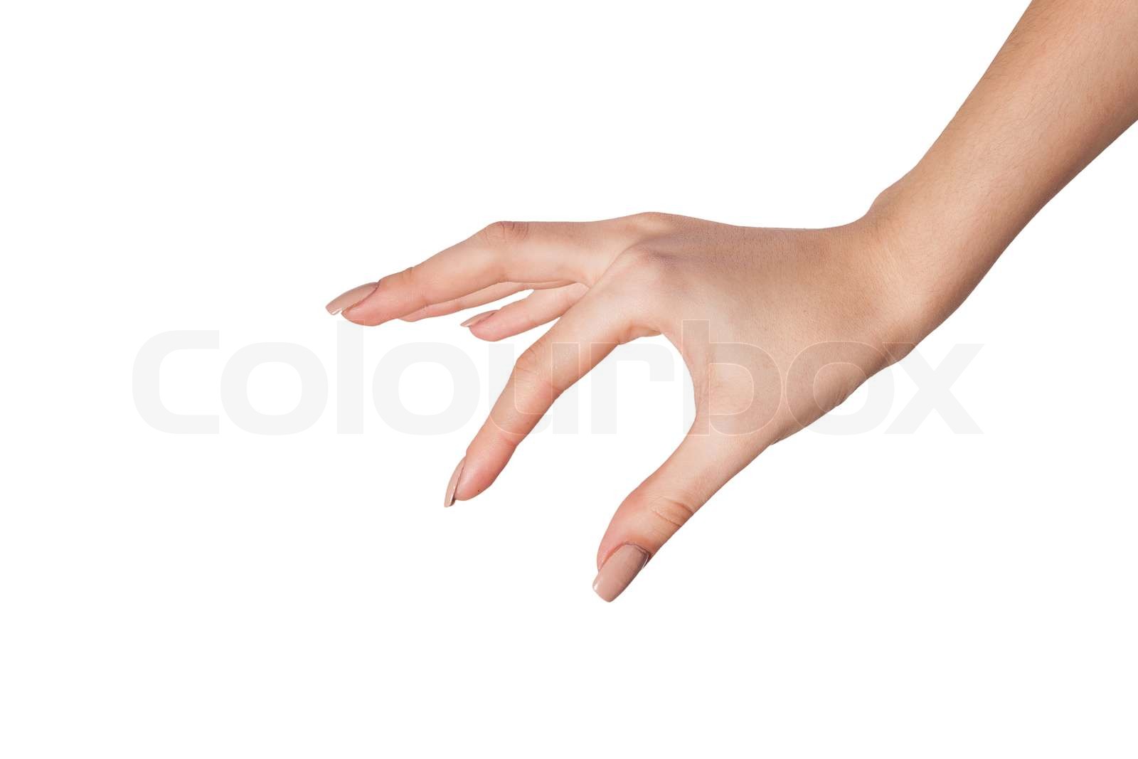 Female hand reaching for something on white | Stock image | Colourbox