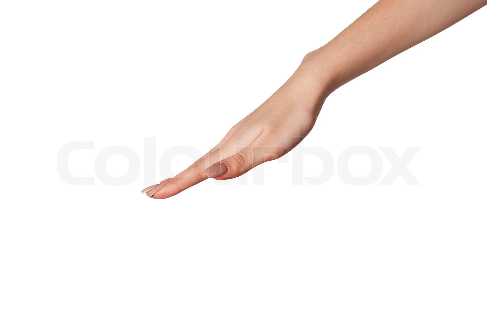 Offene Handfläche Geste Weibliche Hand | Stock Bild | Colourbox