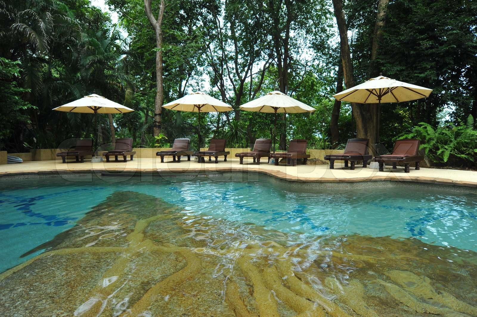 swimming pool at a tropical resort | Stock image | Colourbox