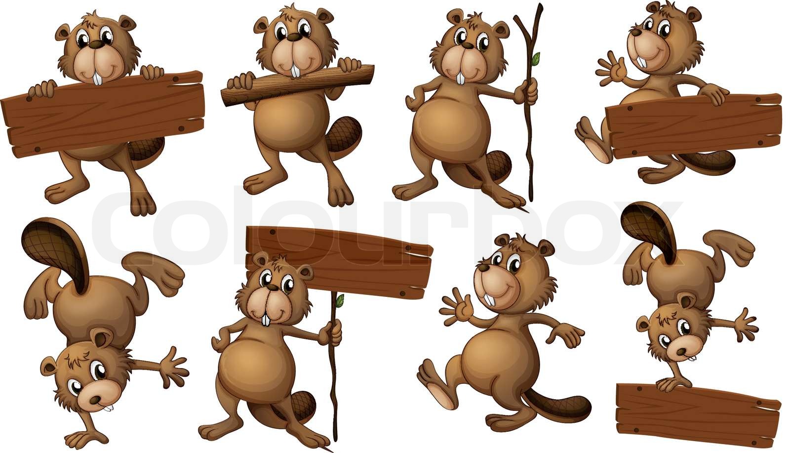 Biber | Stock-Vektor | Colourbox