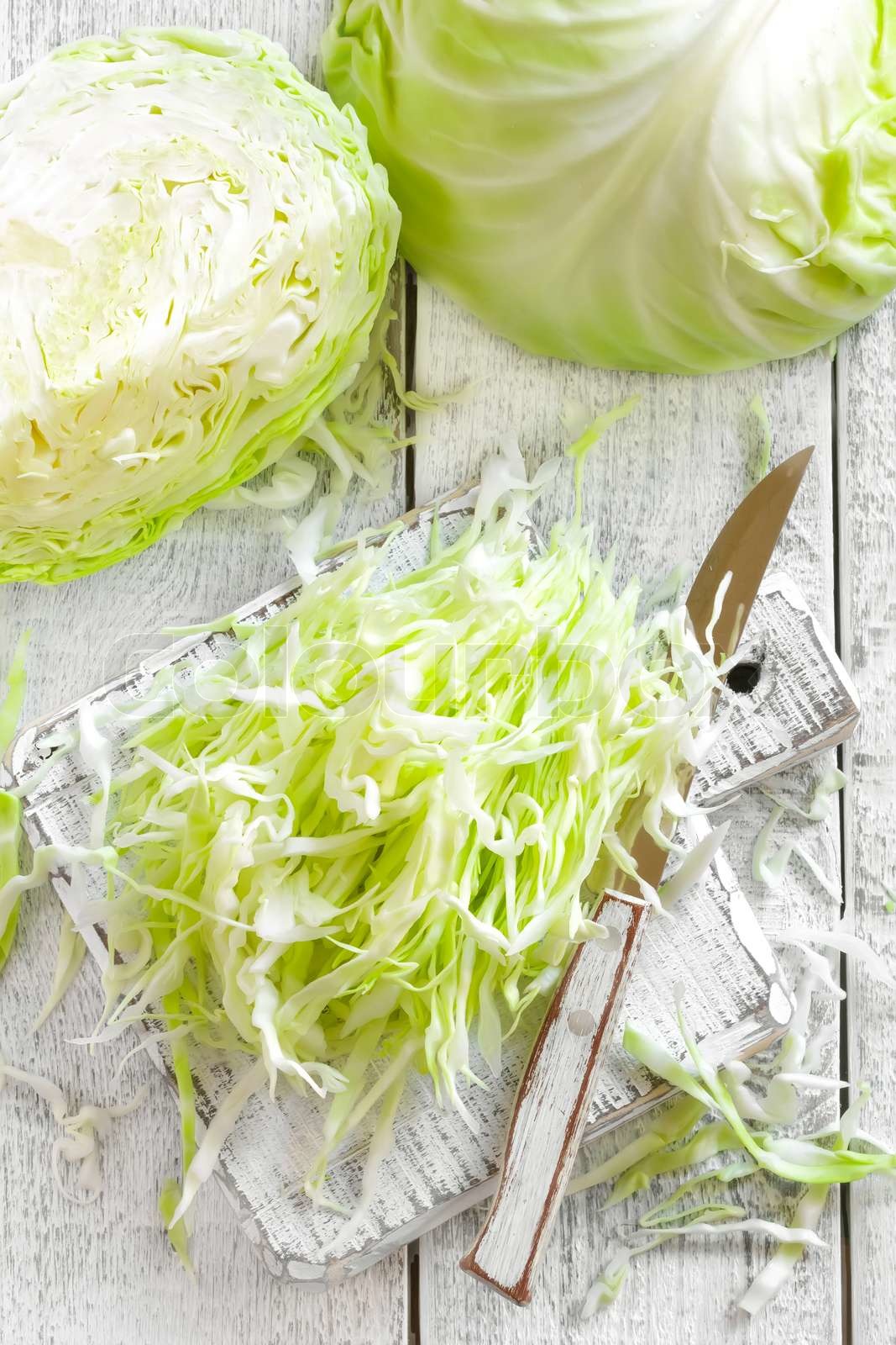 Cabbage | Stock image | Colourbox