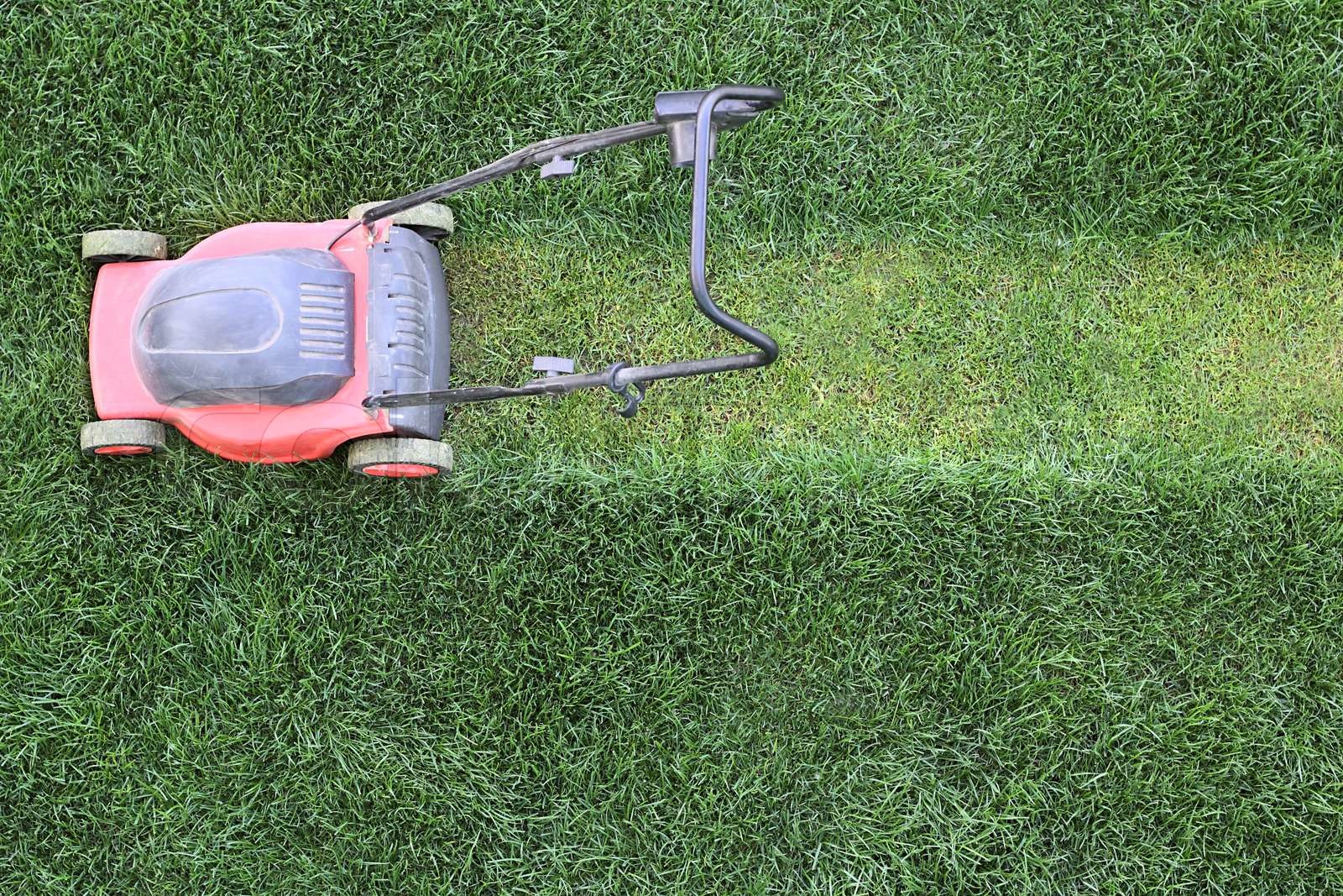 Grass cutter at the lawn | Stock image | Colourbox