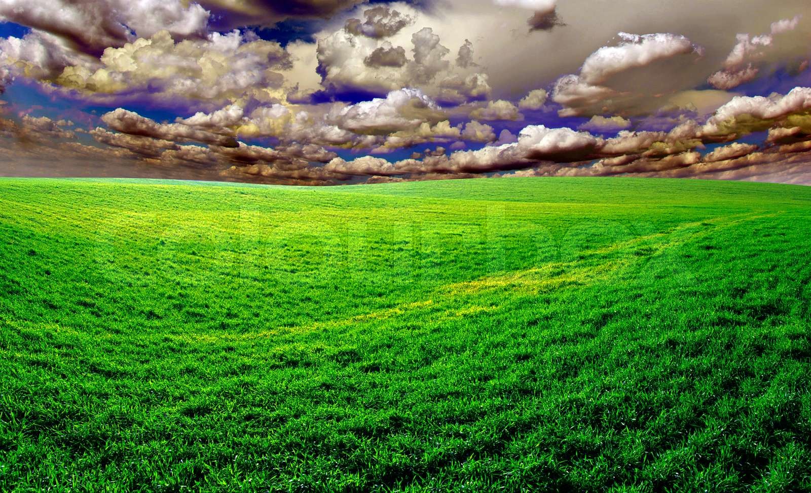 Feld | Stock Bild | Colourbox