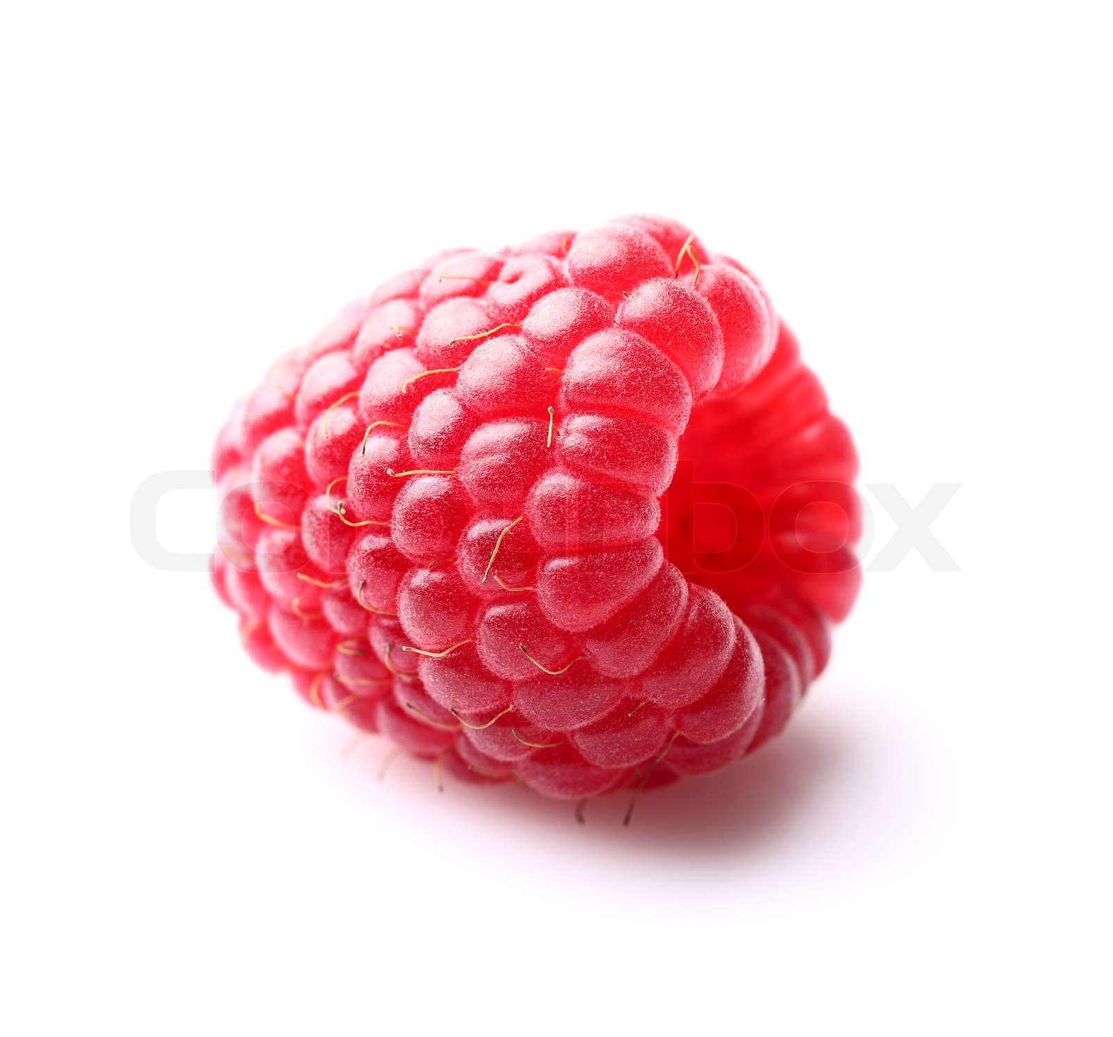One ripe raspberry | Stock image | Colourbox