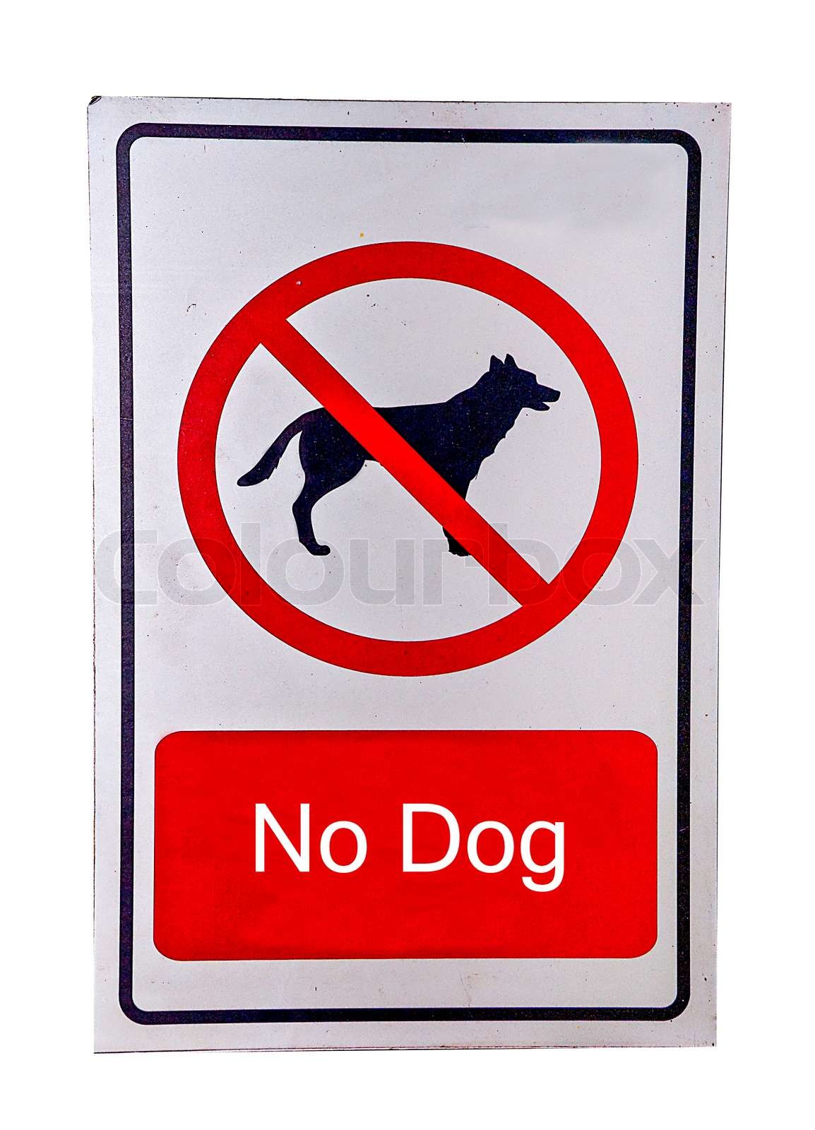 No dog allowed sign | Stock image | Colourbox